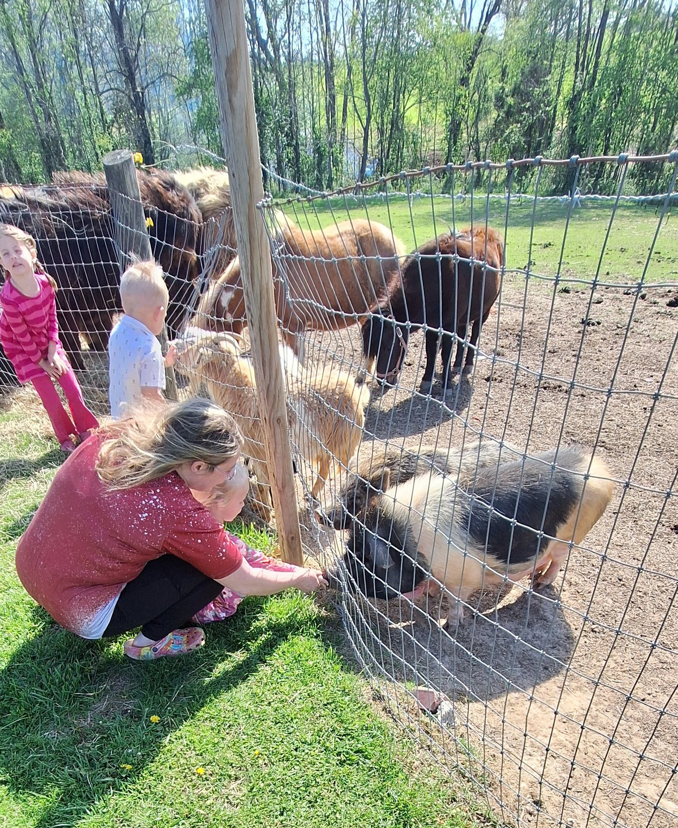 Farm Experiences - Visit Hodgenville, Kentucky